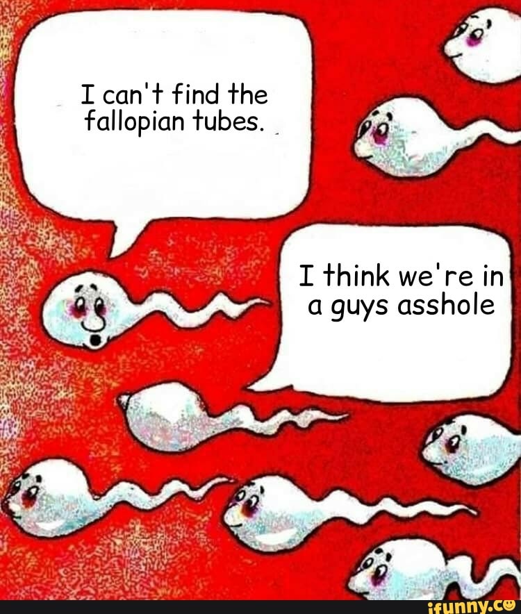 I can't find the fallopian tubes. I think we're in a guys asshole - iFunny