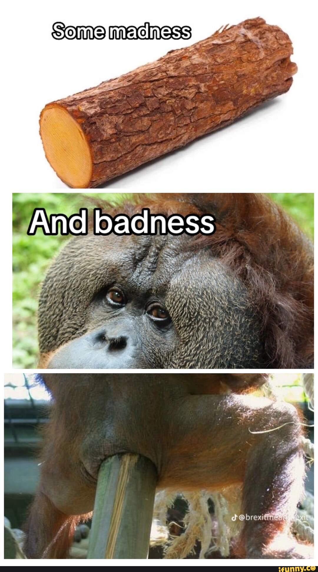 Badness memes. Best Collection of funny Badness pictures on iFunny