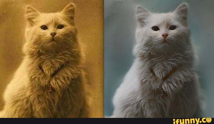 1880 memes. Best Collection of funny 1880 pictures on iFunny