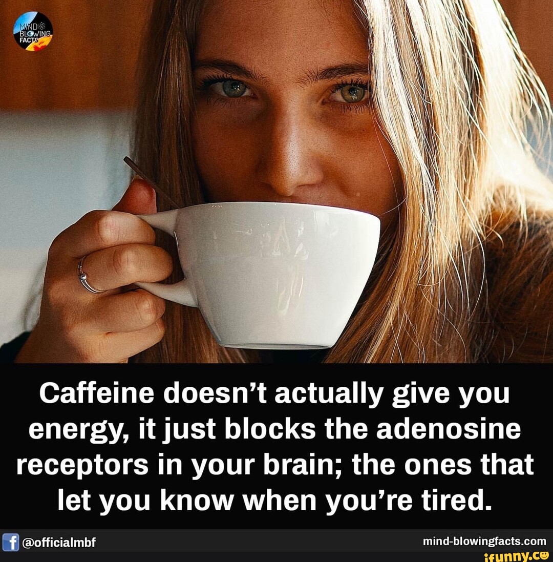 Adenosine memes. Best Collection of funny Adenosine pictures on iFunny