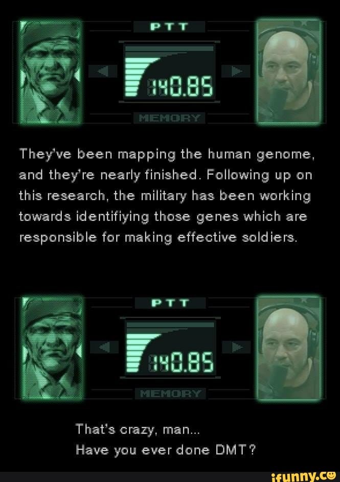 MEMORY They've been mapping the human genome, and they're nearly ...