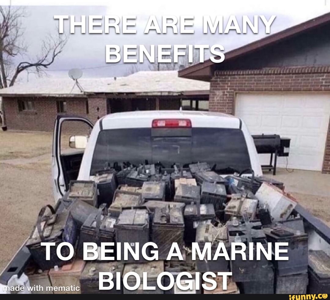 North American Fiber- Seeking Backhoe Backhoe filiccomedens AKA "Big ...