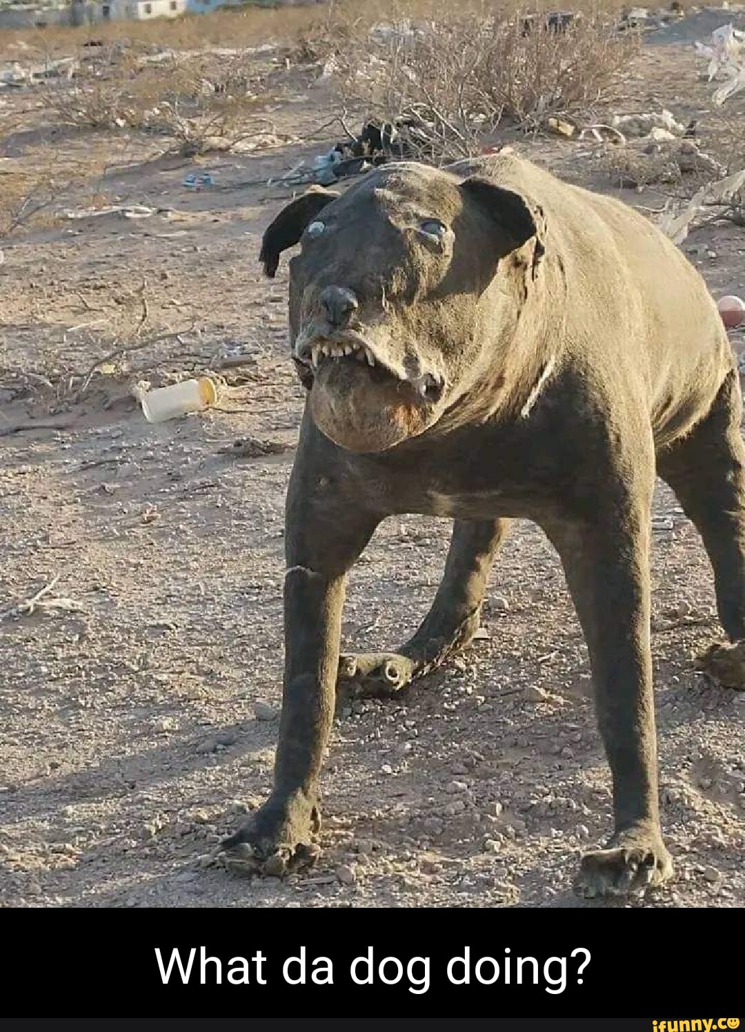 God knew I'd be too powerFul if I had conversation skills - iFunny