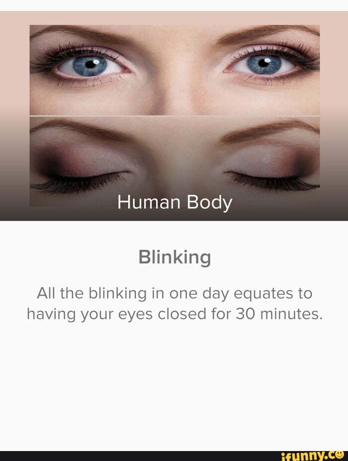 Human Body Blinking All the blinking in one day equates to having your ...