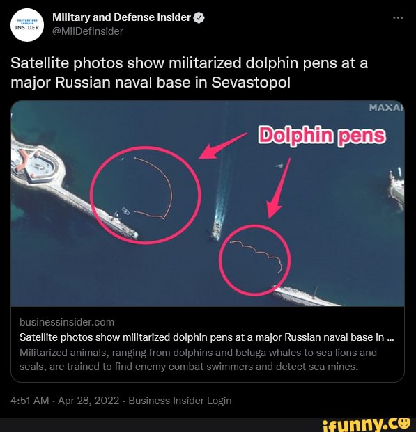 Military and Defense Insider Satellite photos show militarized dolphin ...