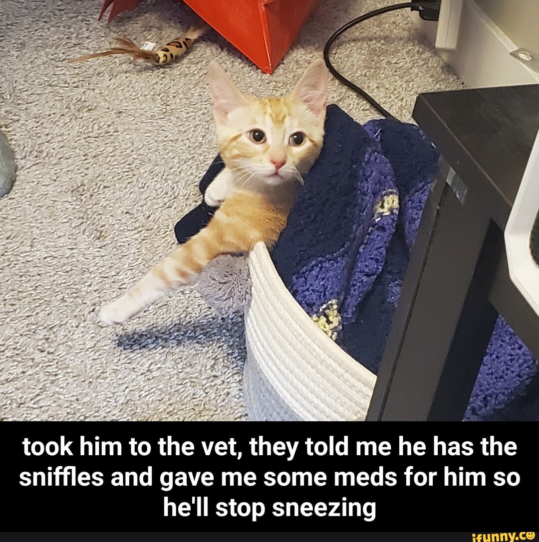 Sniffles memes. Best Collection of funny Sniffles pictures on iFunny