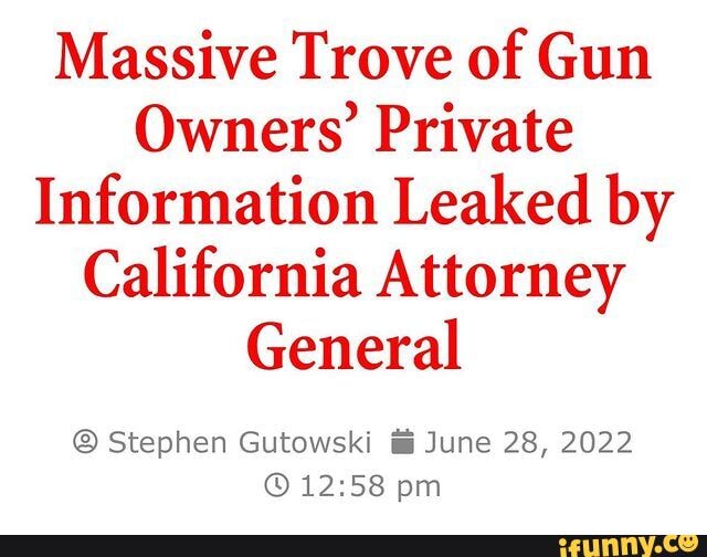 Massive Trove of Gun Owners' Private Information Leaked by California ...