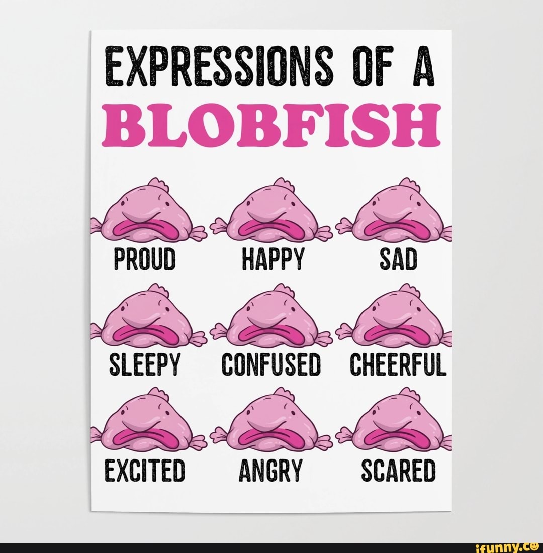 EXPRESSIONS OF A BLOBFISH PROUD HAPPY SAD SLEEPY CONFUSED CHEERFUL EXCITED ANGRY SCARED - iFunny