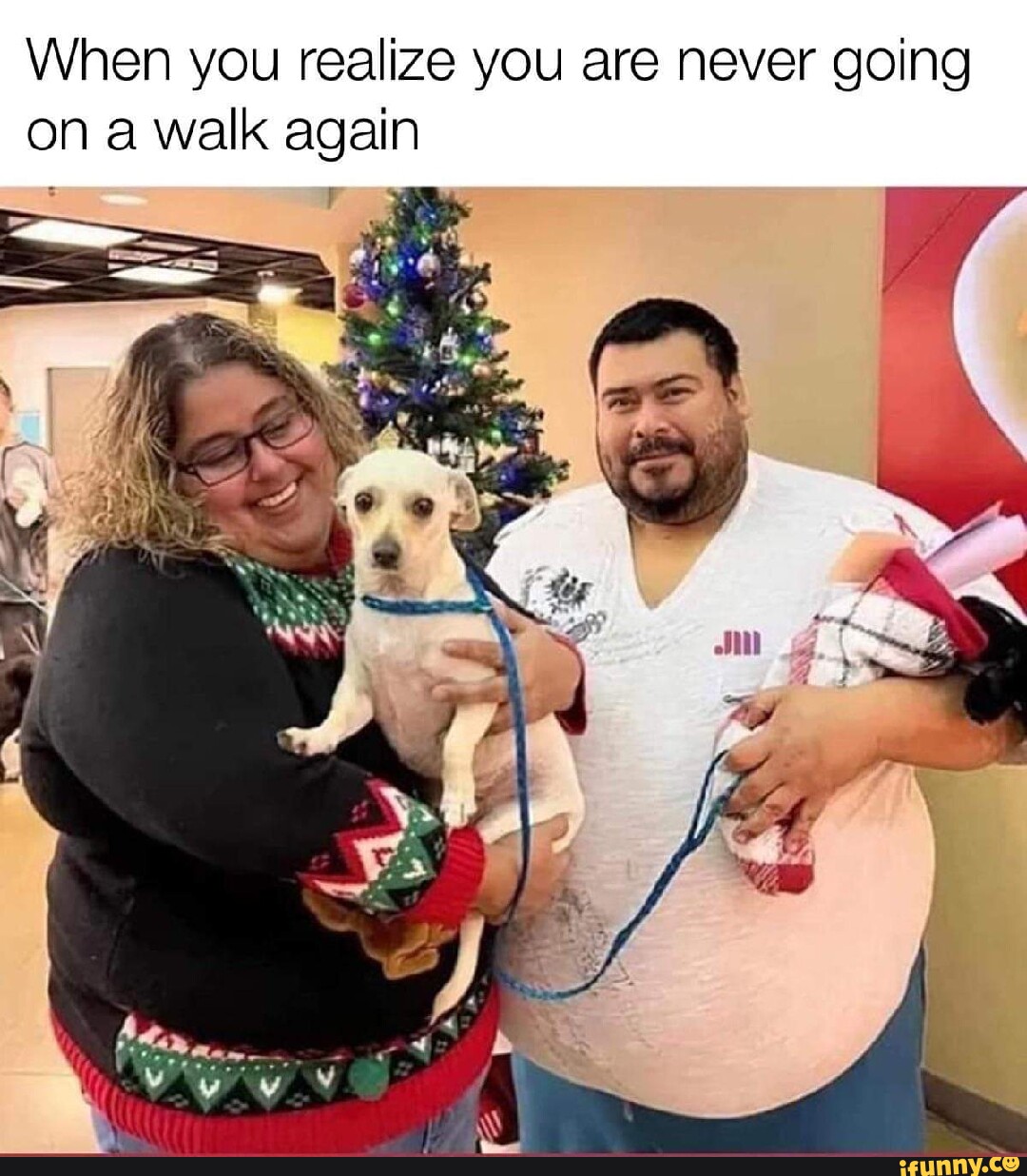 When you realize you are never going on a walk again - iFunny