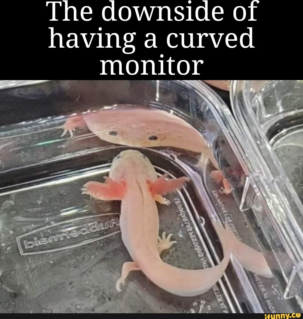 The downside of having a curved monitor - iFunny
