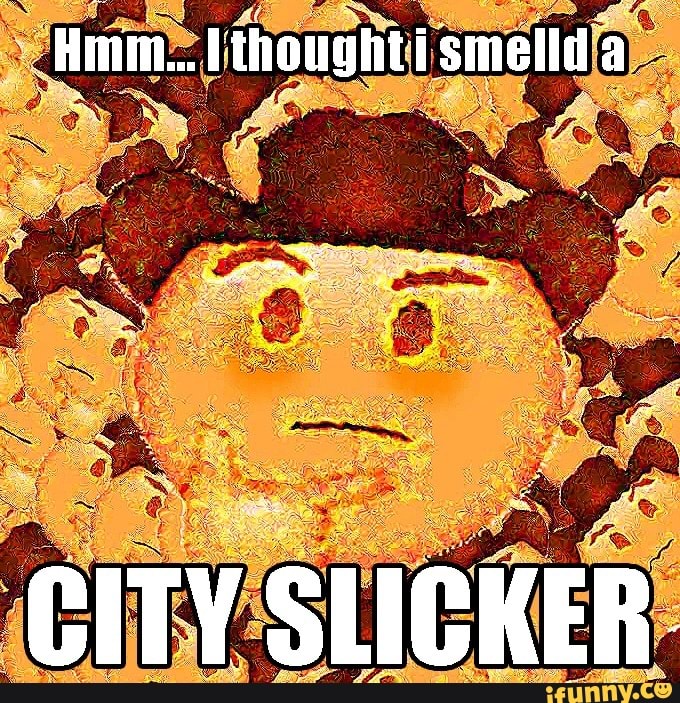 Cityslickers memes. Best Collection of funny Cityslickers pictures on ...