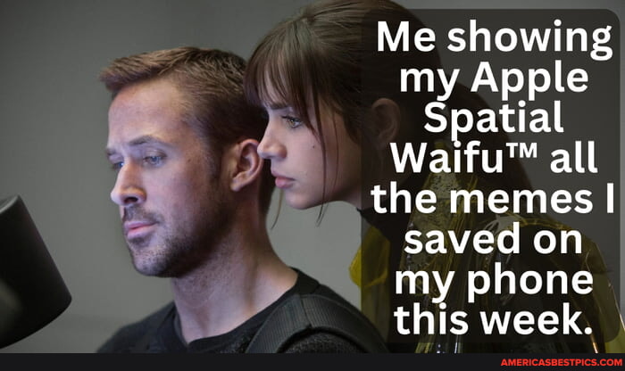Me showing my Apple Spatial all the memes I saved on my phone this week ...