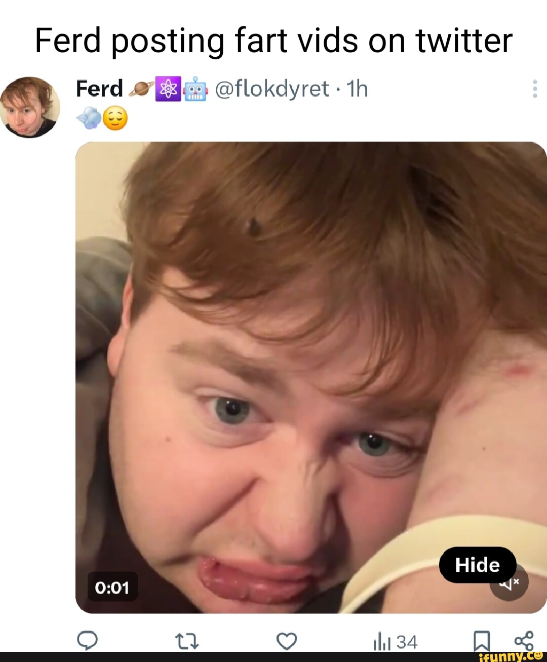 Ferd memes. Best Collection of funny Ferd pictures on iFunny