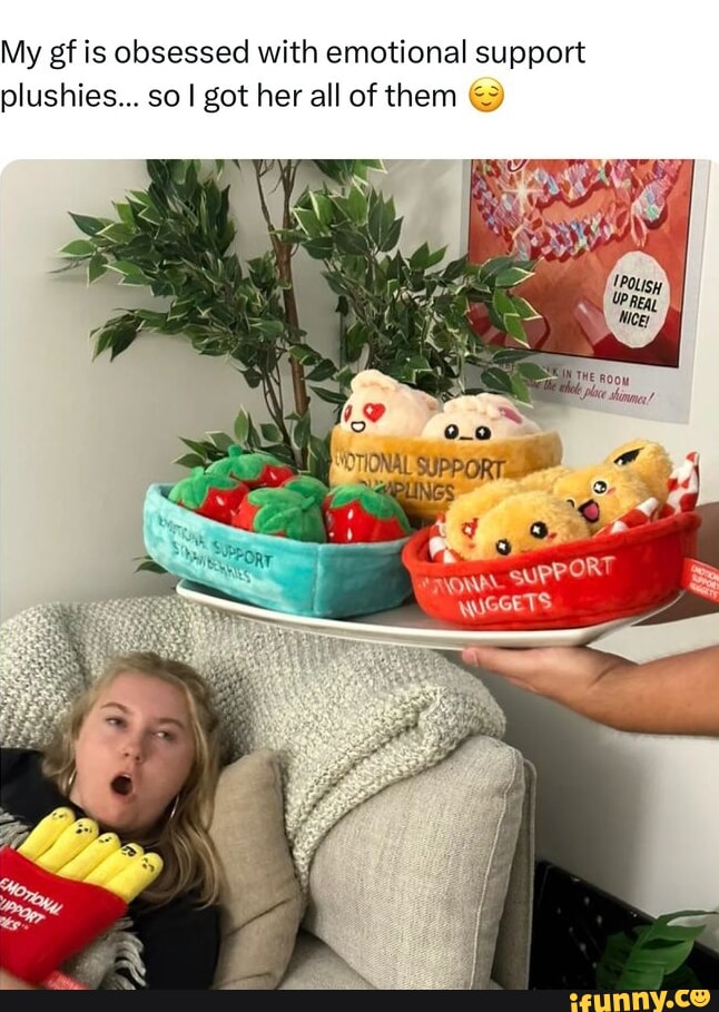 My gf is obsessed with emotional support plushies... so I got her all ...