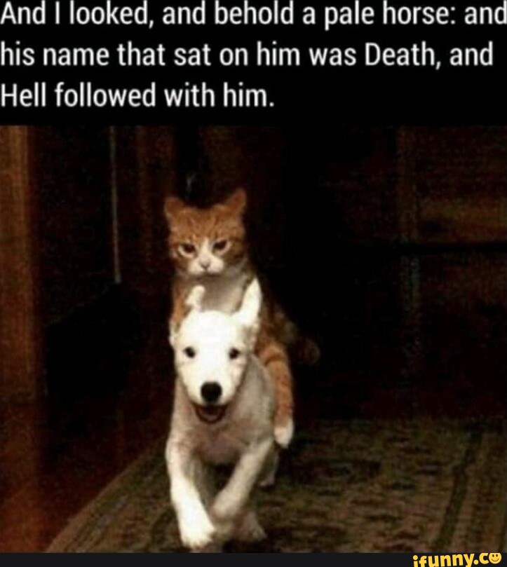 And I looked, and behold a pale norse: and his name that sat on him was ...
