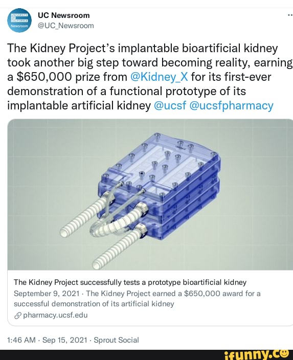 UC Newsroom The Kidney Project's implantable bioartificial kidney took ...