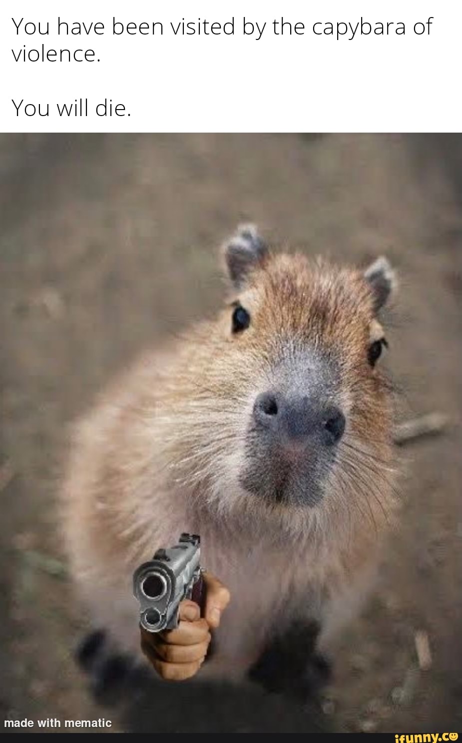 You have been visited by the capybara of violence. You will die. - iFunny