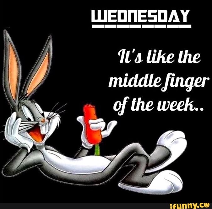 WEDNESDAY like the middle finger of the week.. - iFunny