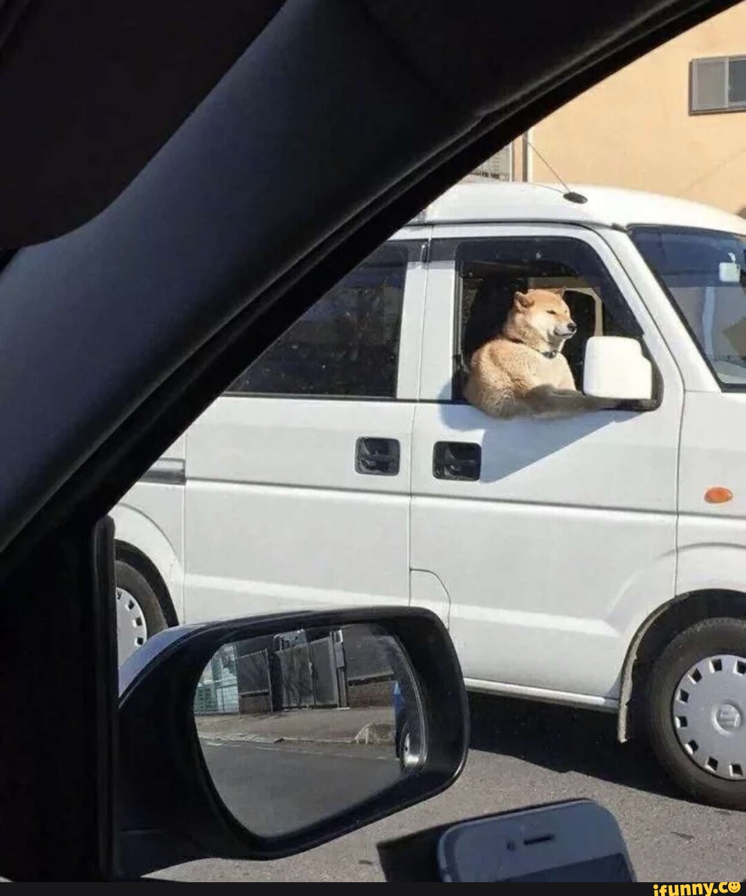 Dank Memes memes. The best memes on iFunny