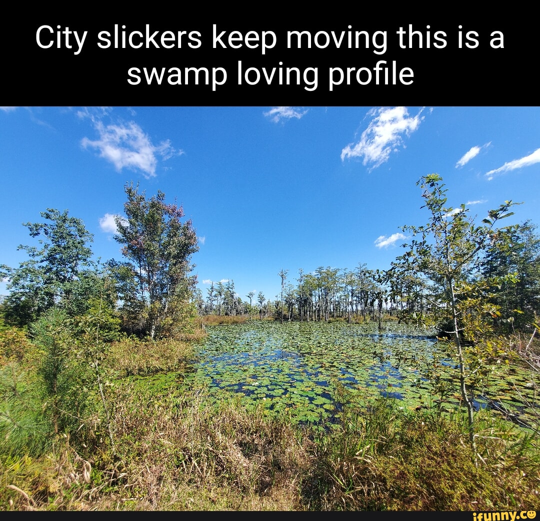 City slickers keep moving this is a swamp loving profile - iFunny