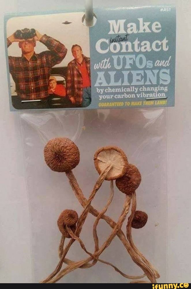 Psychedelicmushrooms memes. Best Collection of funny ...