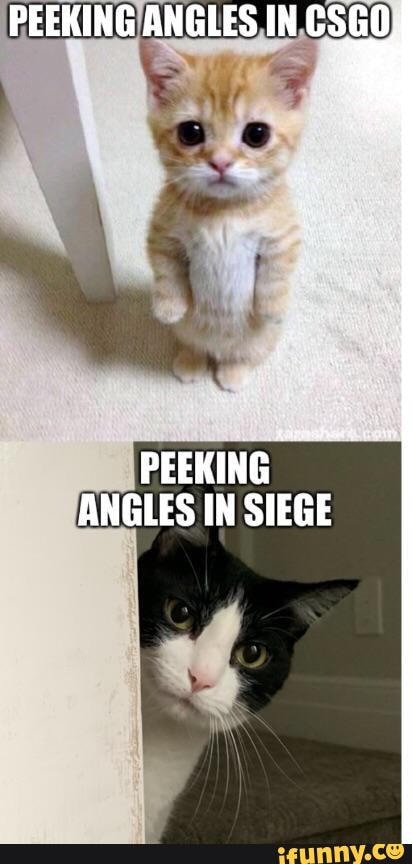 Peeking memes. Best Collection of funny Peeking pictures on iFunny