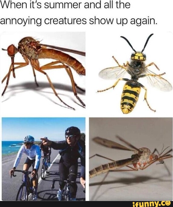 Roadblocks memes. Best Collection of funny Roadblocks pictures on iFunny