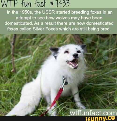 I saw someone say that Laura Harrier and Bill Skarsgard would make a ...