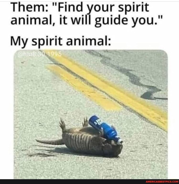 Them: "Find animal, it will your spirit you." animal, it will guide you ...