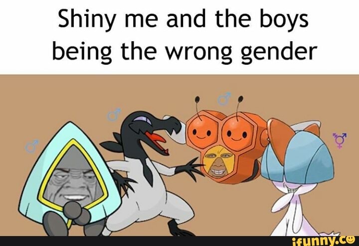 Shiny me and the boys being the wrong gender - iFunny