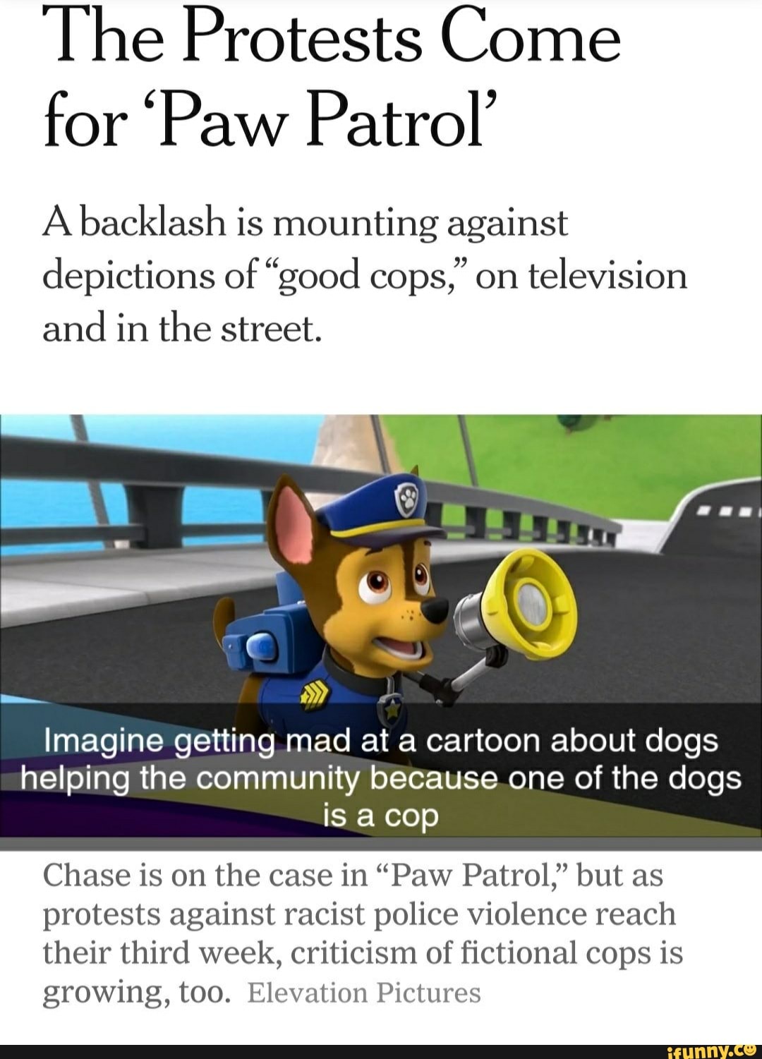 The Protests Come for "Paw Patrol' A backlash is mounting against ...
