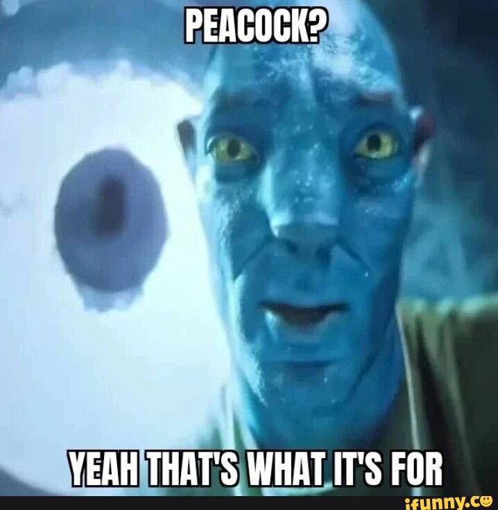 PEACOCK? be YEAH THAT'S WHAT IT'S FOR - iFunny