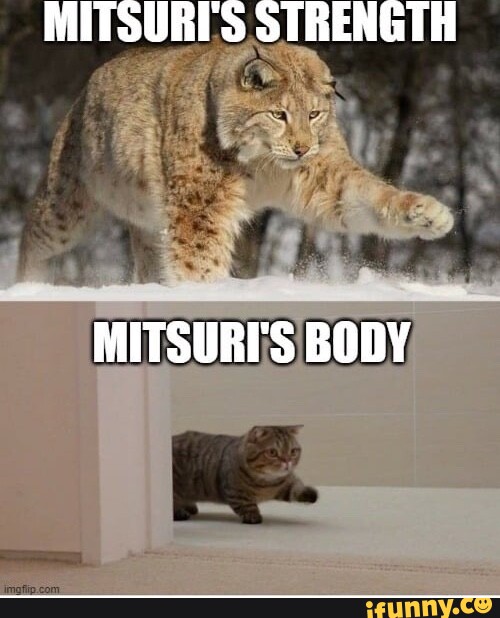 Mitsurts memes. Best Collection of funny Mitsurts pictures on iFunny