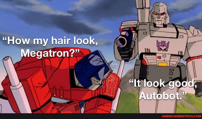 "How my hair look, Megatron?" "It look good, Autobot." - America’s best ...
