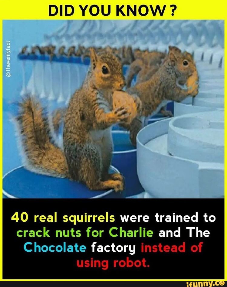 DID YOU KNOW ? 40 real squirrels were trained to crack nuts for Charlie ...