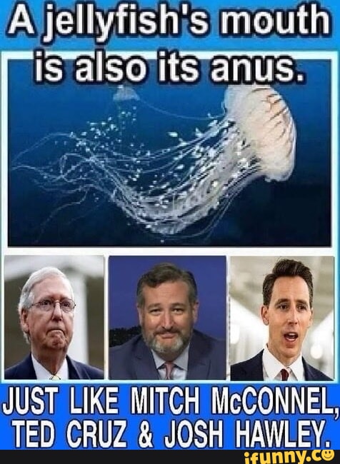 Hawley memes. Best Collection of funny Hawley pictures on iFunny