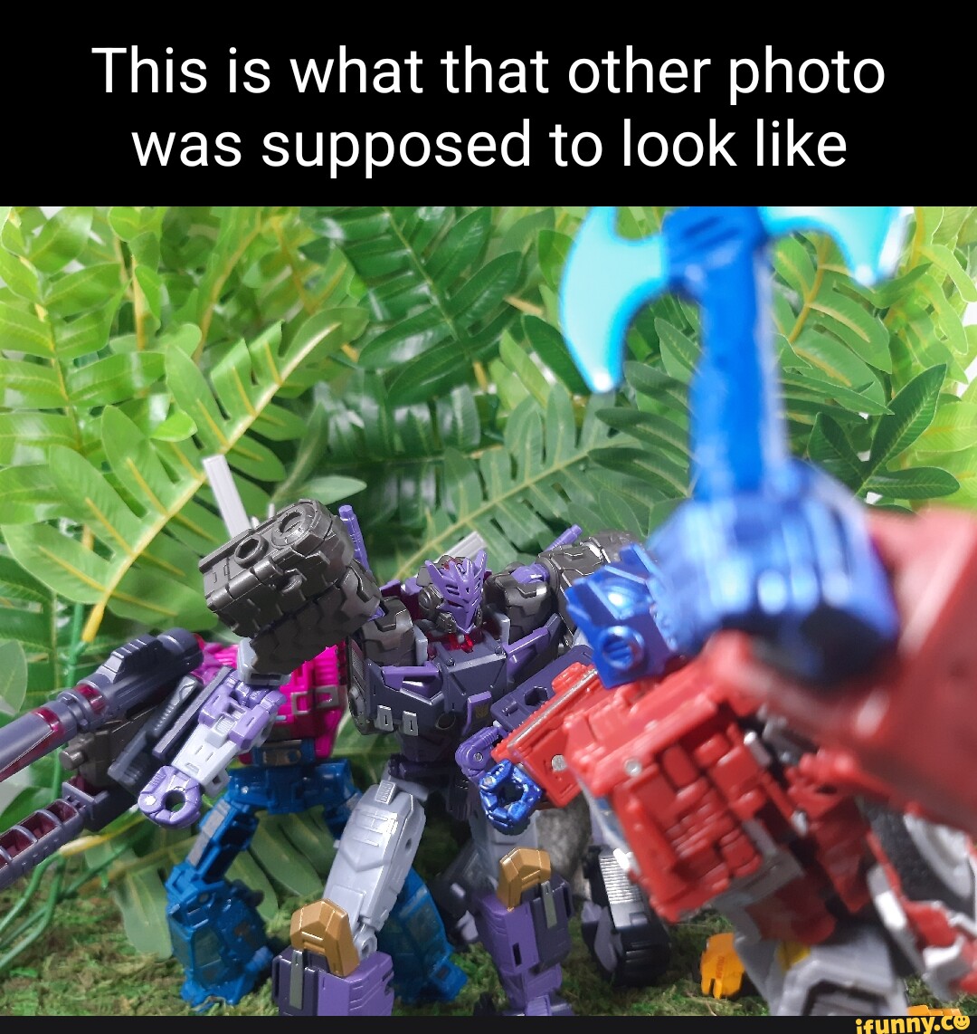 Tarn memes. Best Collection of funny Tarn pictures on iFunny