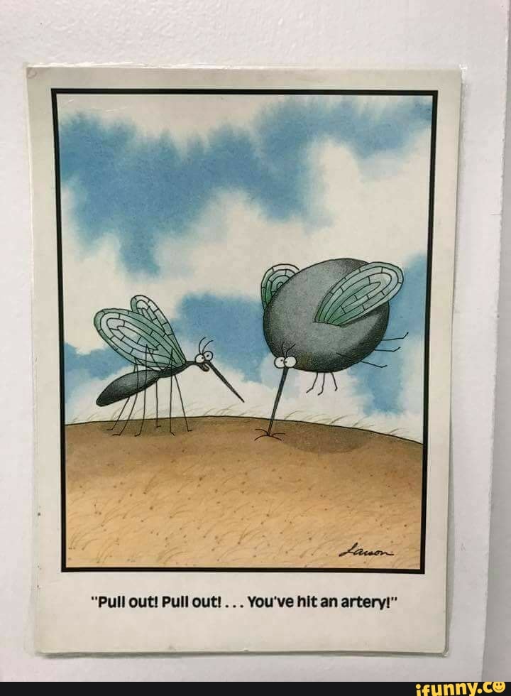 "Pull out! Pull out! . You've hit an artery!" - iFunny