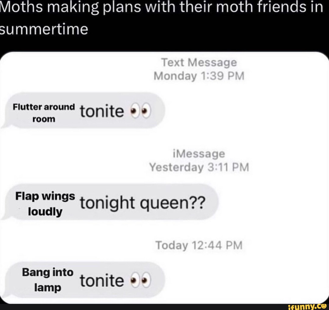 Flutter memes. Best Collection of funny Flutter pictures on iFunny