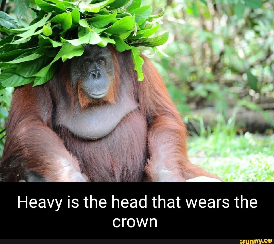 Heavy is the head that wears the crown - iFunny