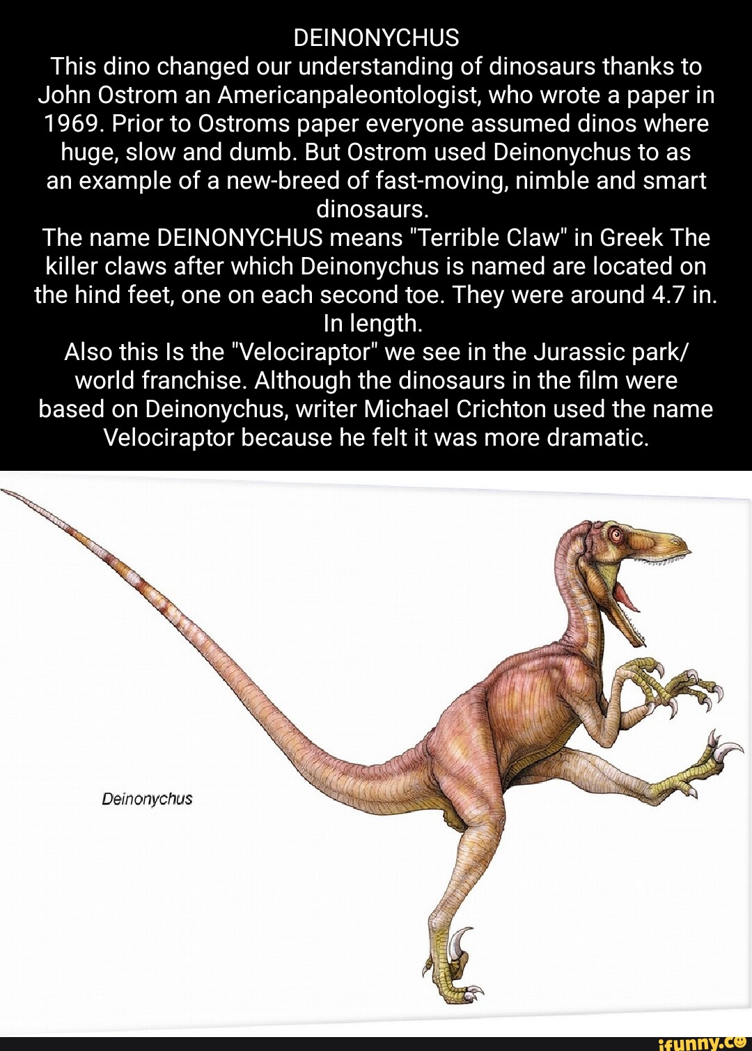 DEINONYCHUS This dino changed our understanding of dinosaurs thanks to ...