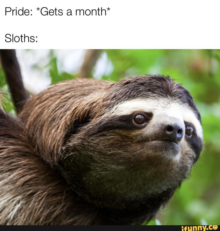 Pride: *Gets a month* Sloths: - iFunny