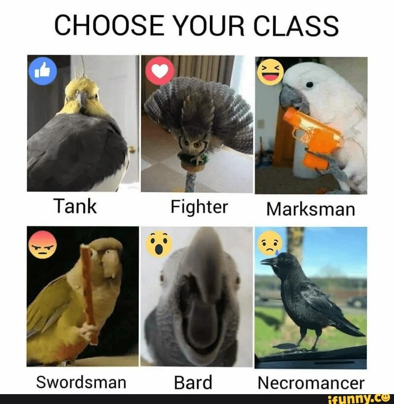 CHOOSE YOUR CLASS - iFunny