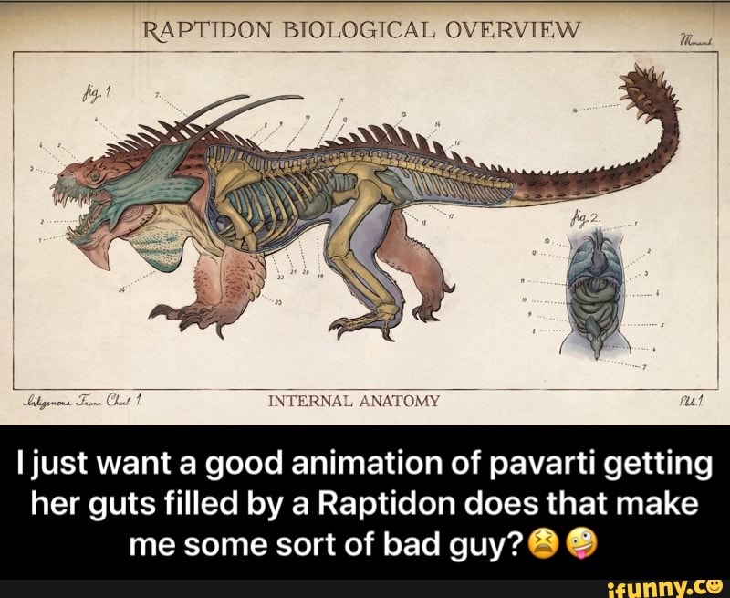 RAPTIDON BIOLOGICAL OVERVIEW Leben: Tia Chat 1 INTERNAL ANATOMY ul I ...