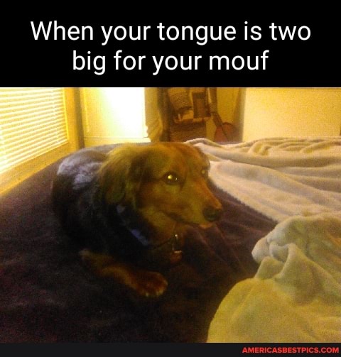 When your tongue is two big for your mouf - Americaβs best pics and videos When your tongue is two big for your mouf - Americaβs best pics and videos
