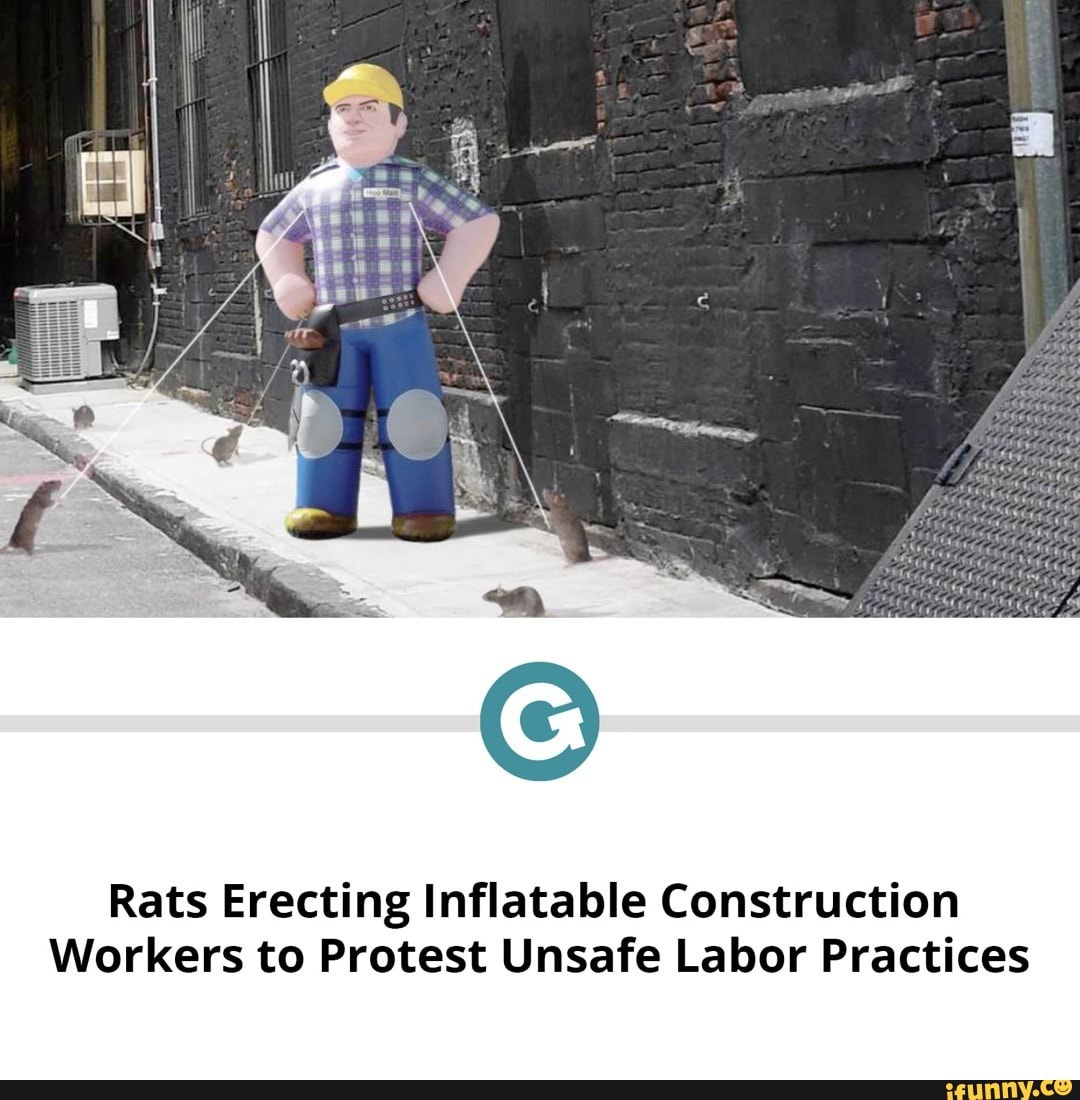 Rats Erecting Inflatable Construction Workers to Protest Unsafe Labor ...