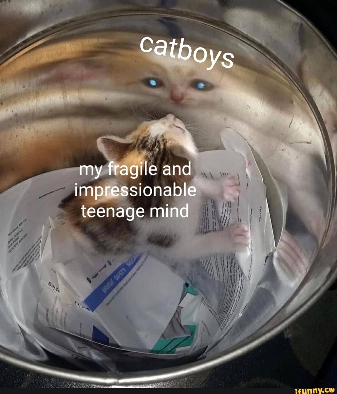 Memes Teenage Mind