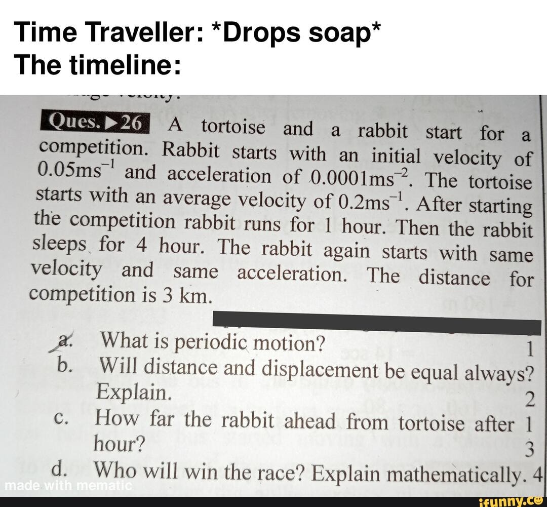 Time Traveller: *Drops soap* The timeline: A tortoise and a rabbit ...