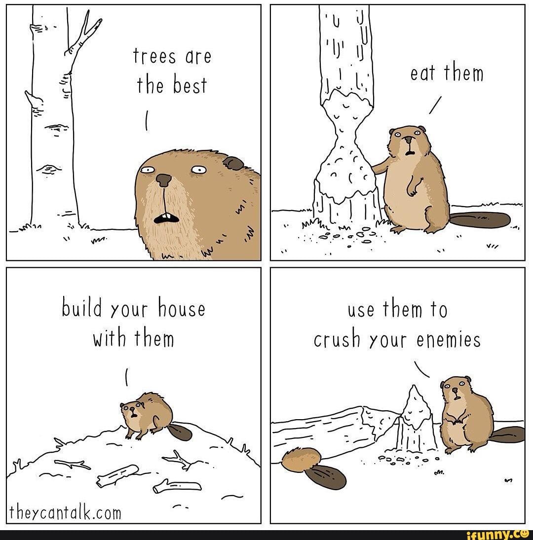 trees dre the best build your house with them eat them use them to ...