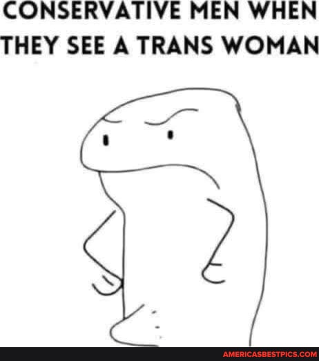 CONSERVATIVE MEN WHEN THEY SEE A TRANS WOMAN - America’s best pics and ...